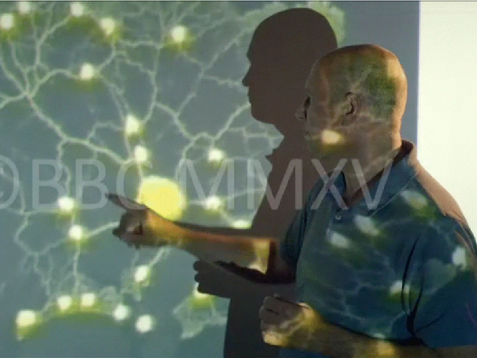 Mark Fricker: Research