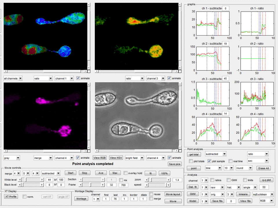 Software – Mark Fricker: Research