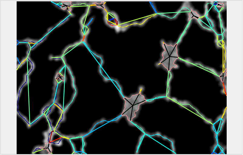 ER Network Analysis – Mark Fricker: Research