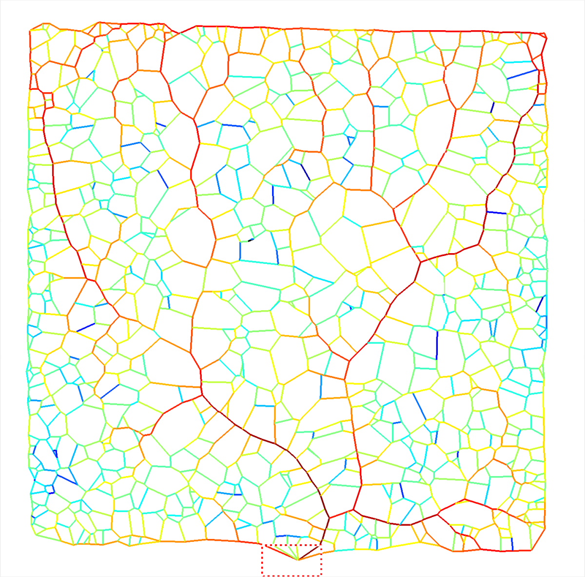 Physarum Network Analysis – Mark Fricker: Research